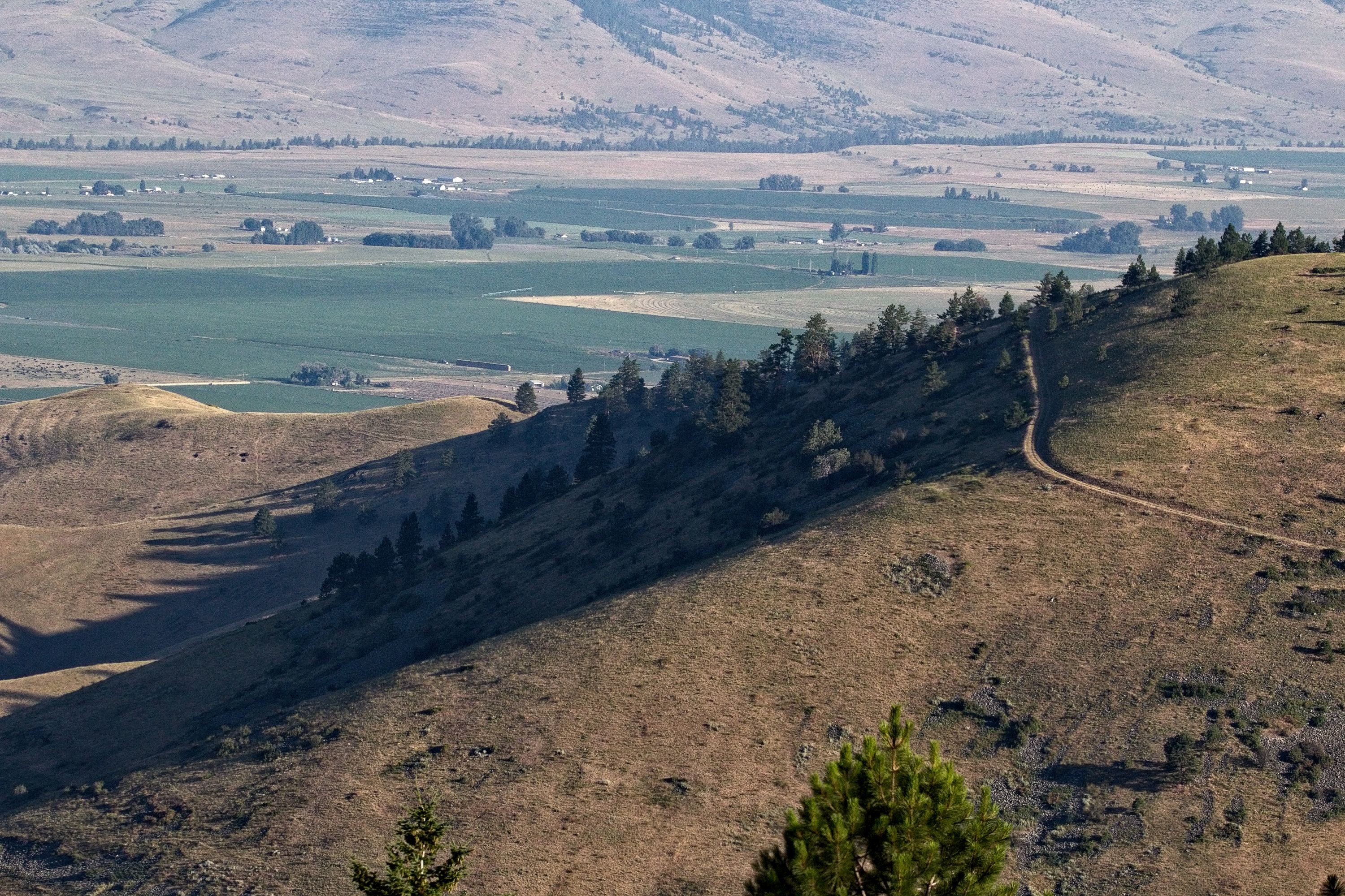 National Bison Range » Blairs Travel and Photography Blog